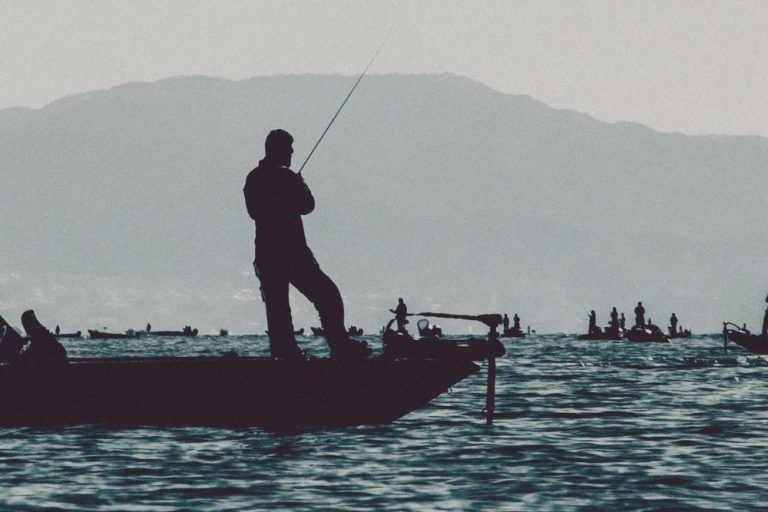 Do Trolling Motors Scare Fish? - Anchor.Travel